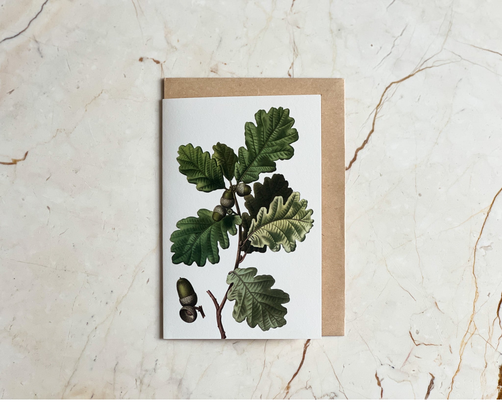 Acorns Card – ORNAMENT